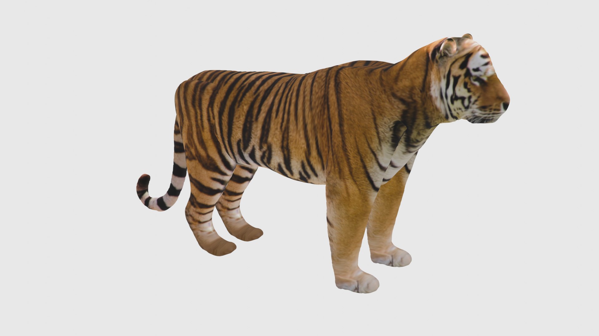 Low Poly Tiger Rigged With Realistic Texture 3D model - TurboSquid 1876171