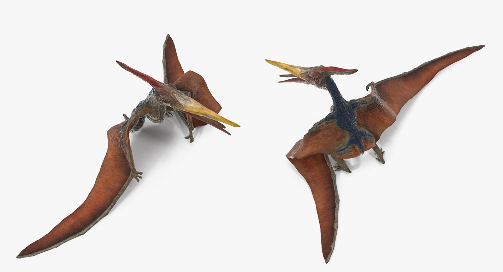 3D Pteranodon Rigged - TurboSquid 1479497