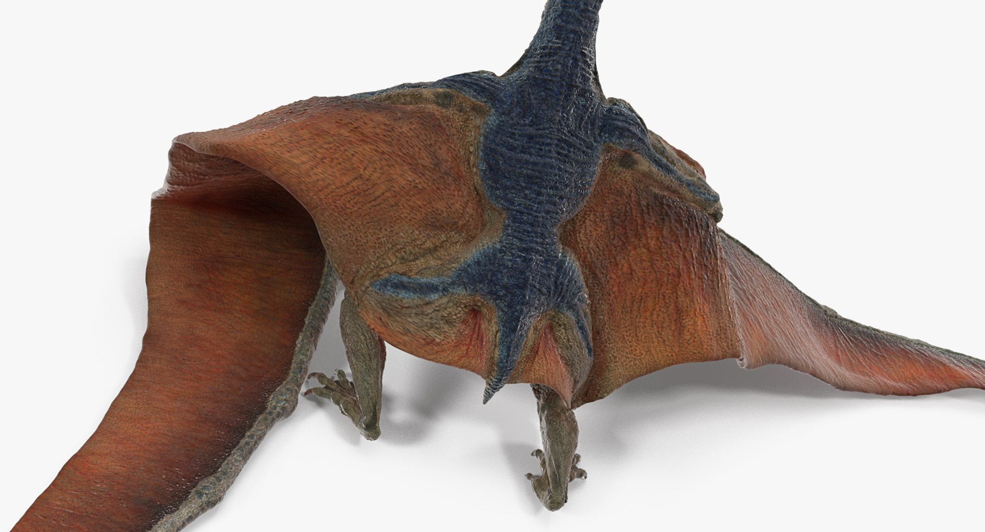 3D Pteranodon Rigged - TurboSquid 1479497