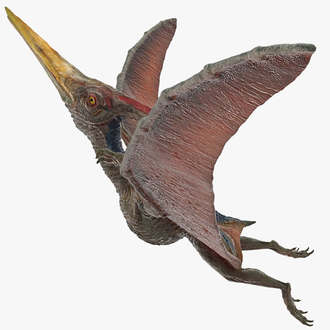 3D pteranodon rigged - TurboSquid 1479497
