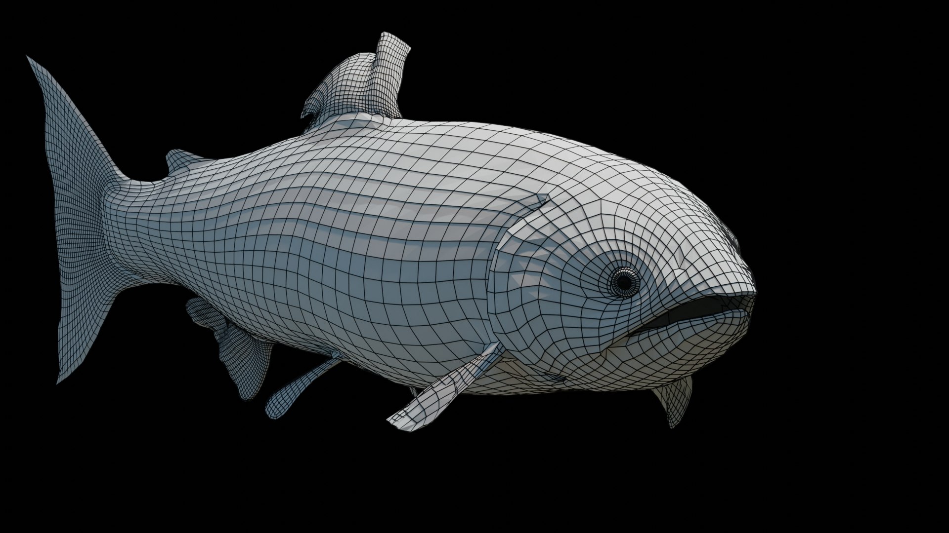 3D Model Chinook Salmon - TurboSquid 1944520