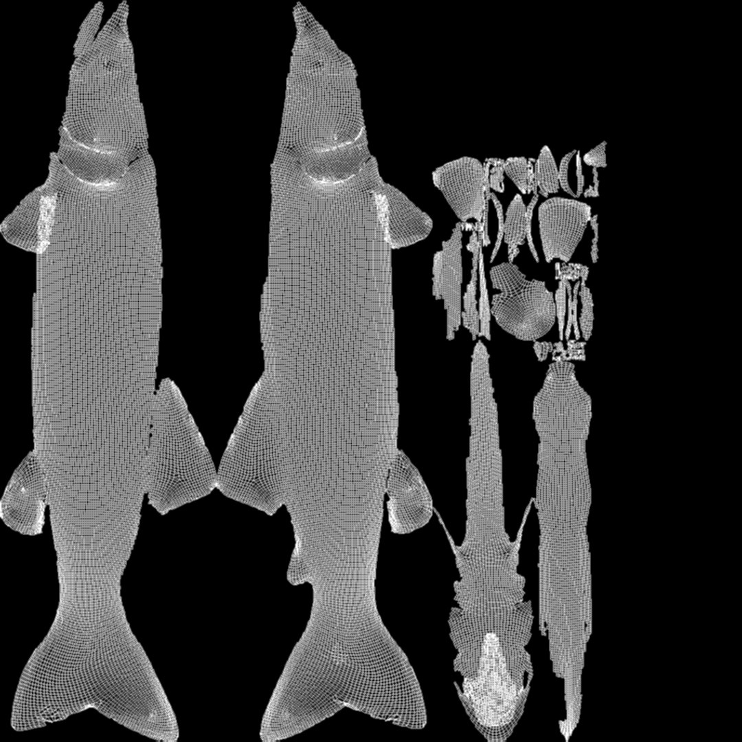 Realistic Brown Trout Fish 3D Model 3D Model - TurboSquid 2324631