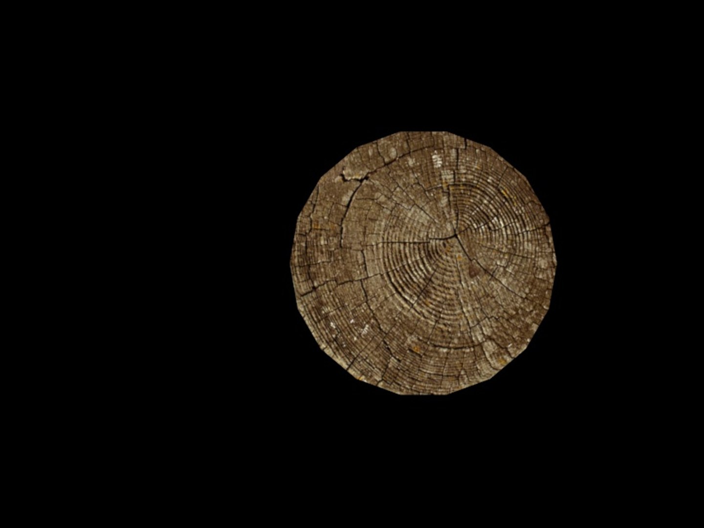 3D Wood Log Model - TurboSquid 1016600