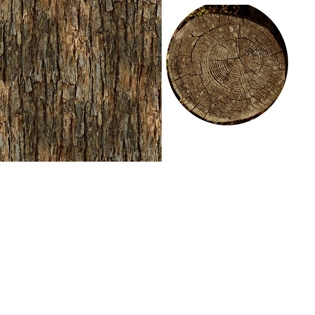 3D Wood Log Model - TurboSquid 1016600