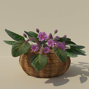 3D Violet Models - Browse & Download Formats - TurboSquid