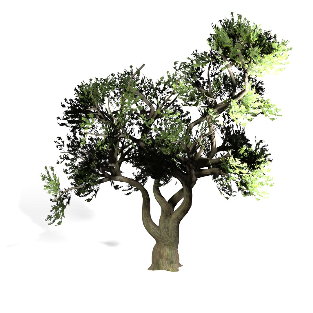 3D Tree4 - TurboSquid 2214933