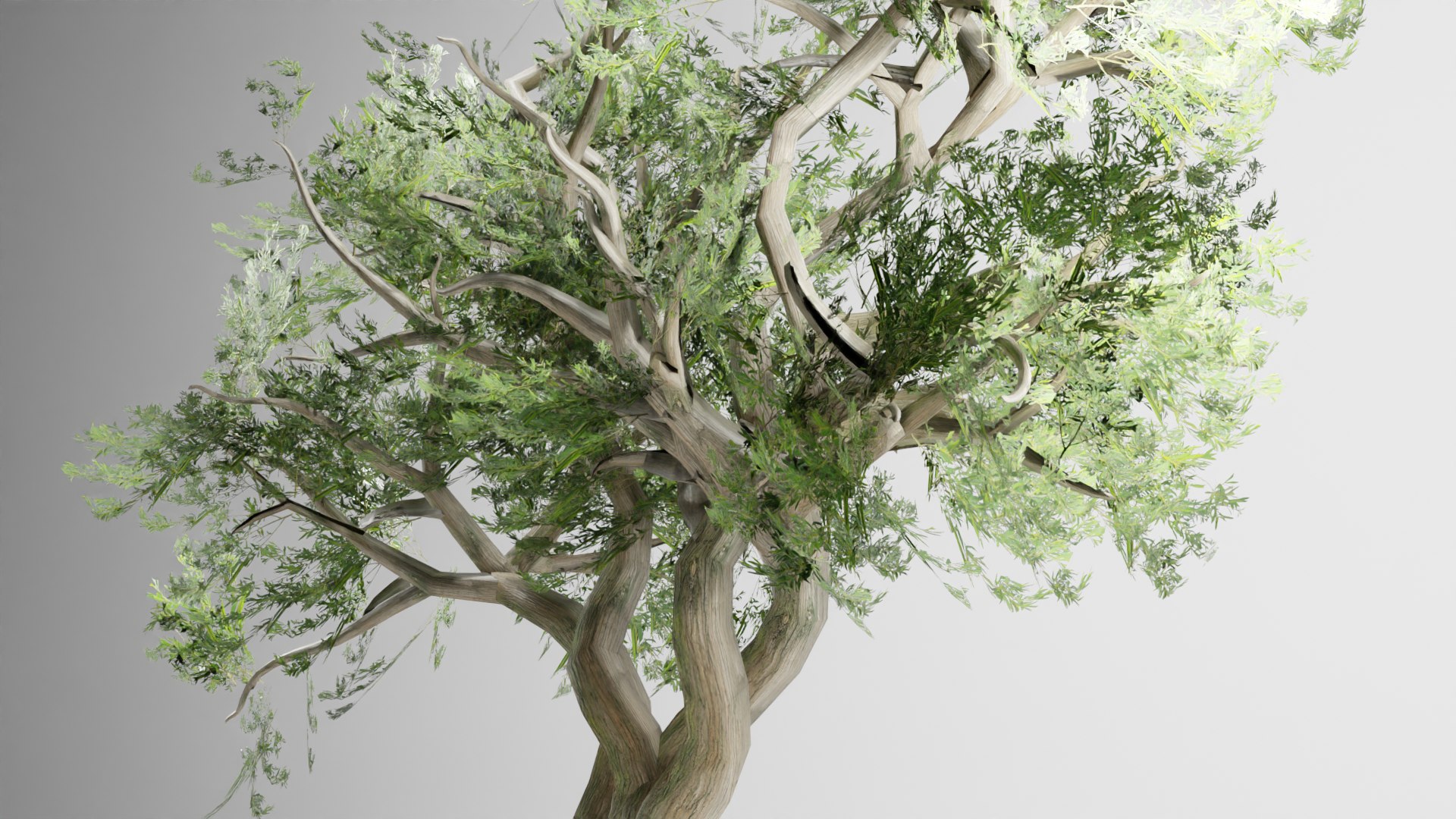 3D Tree4 - TurboSquid 2214933
