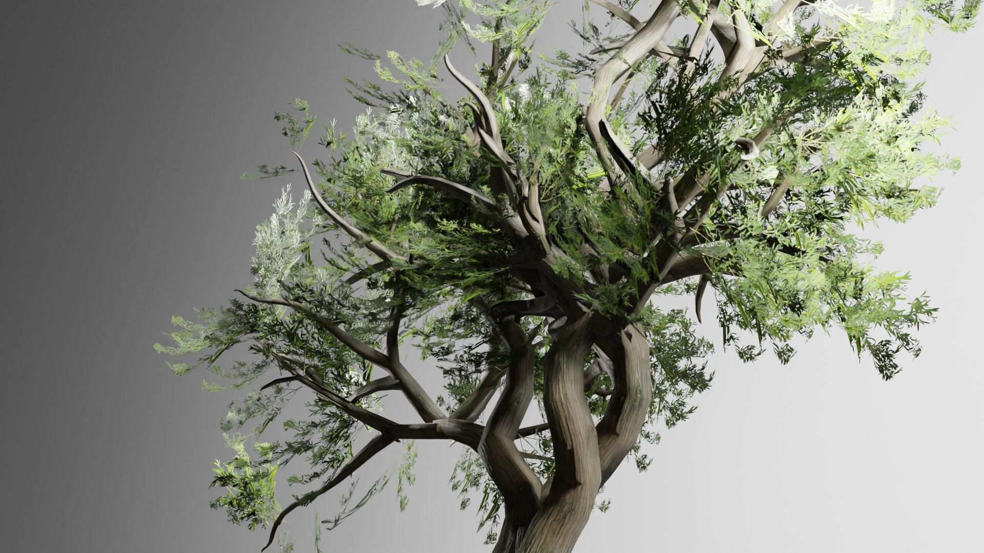 3D Tree4 - TurboSquid 2214933