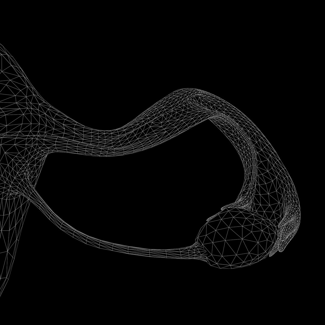 3D Female Reproductive System - TurboSquid 1728404