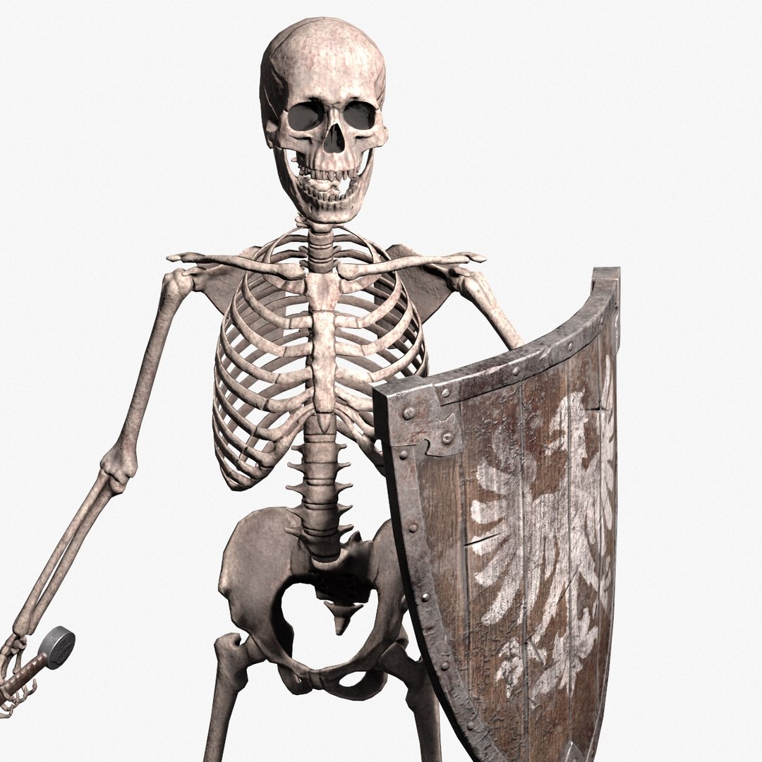 Free 3D Skeleton Warrior model - TurboSquid 2011324