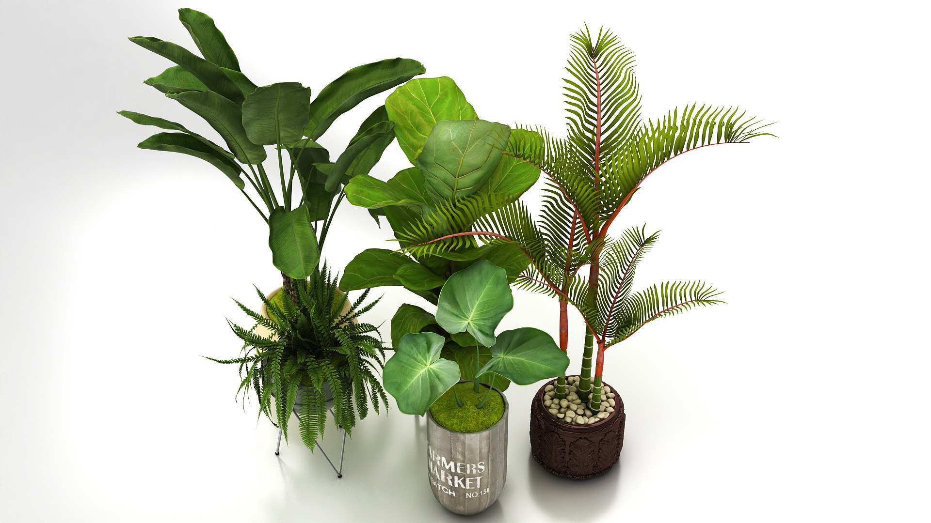 3D Collection plants model - TurboSquid 2080964