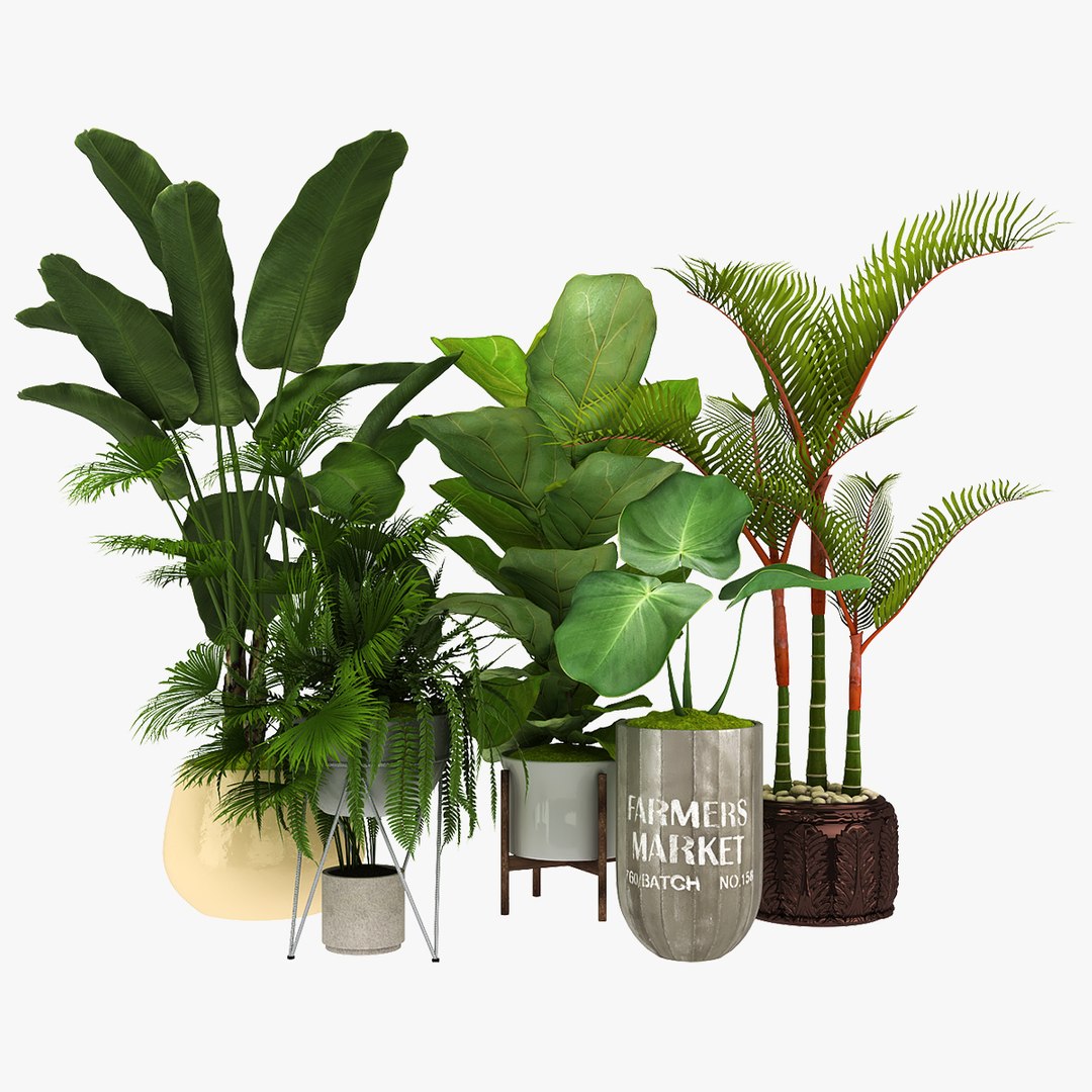 3D Collection plants model - TurboSquid 2080964