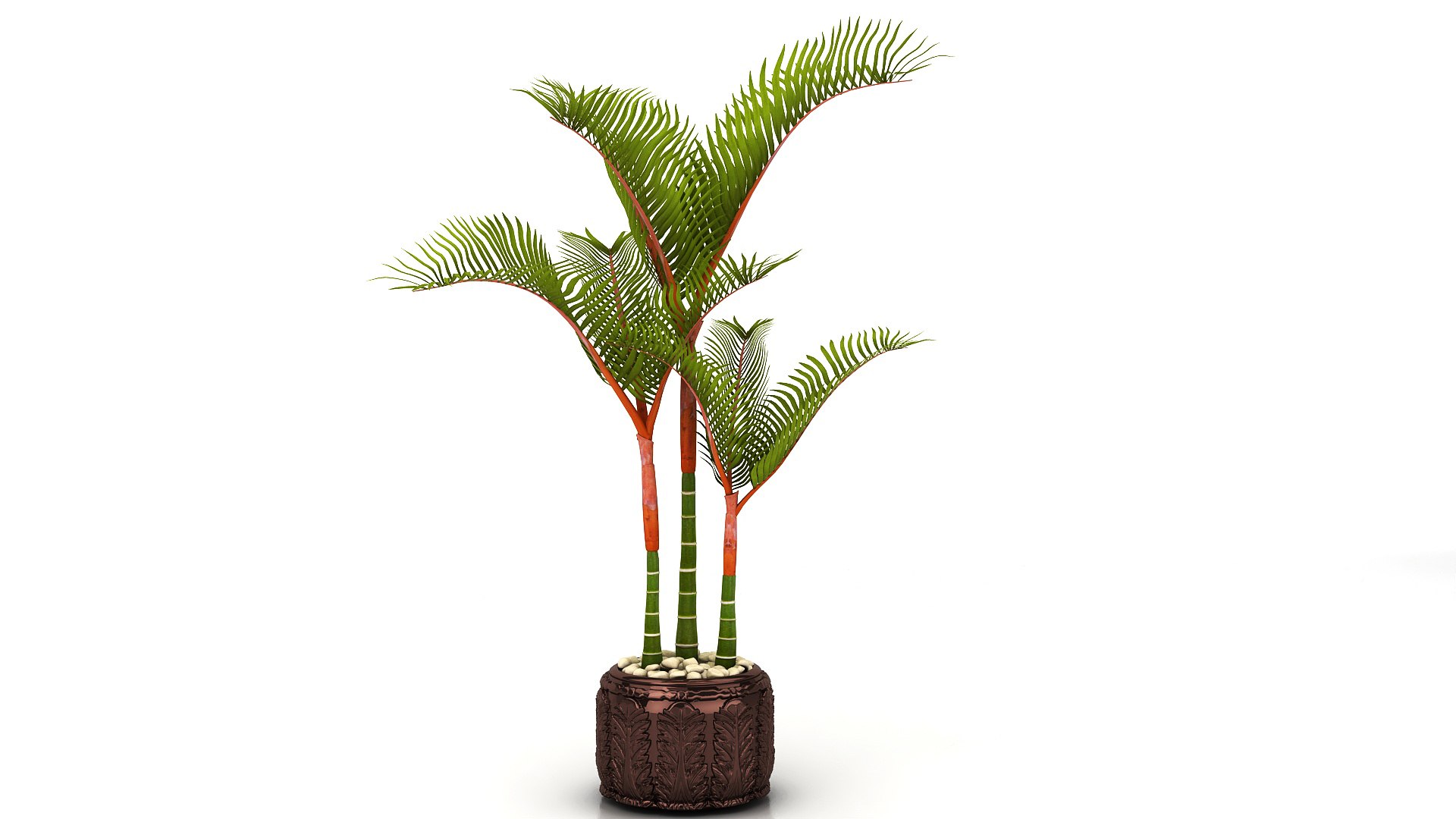 3D Collection plants model - TurboSquid 2080964