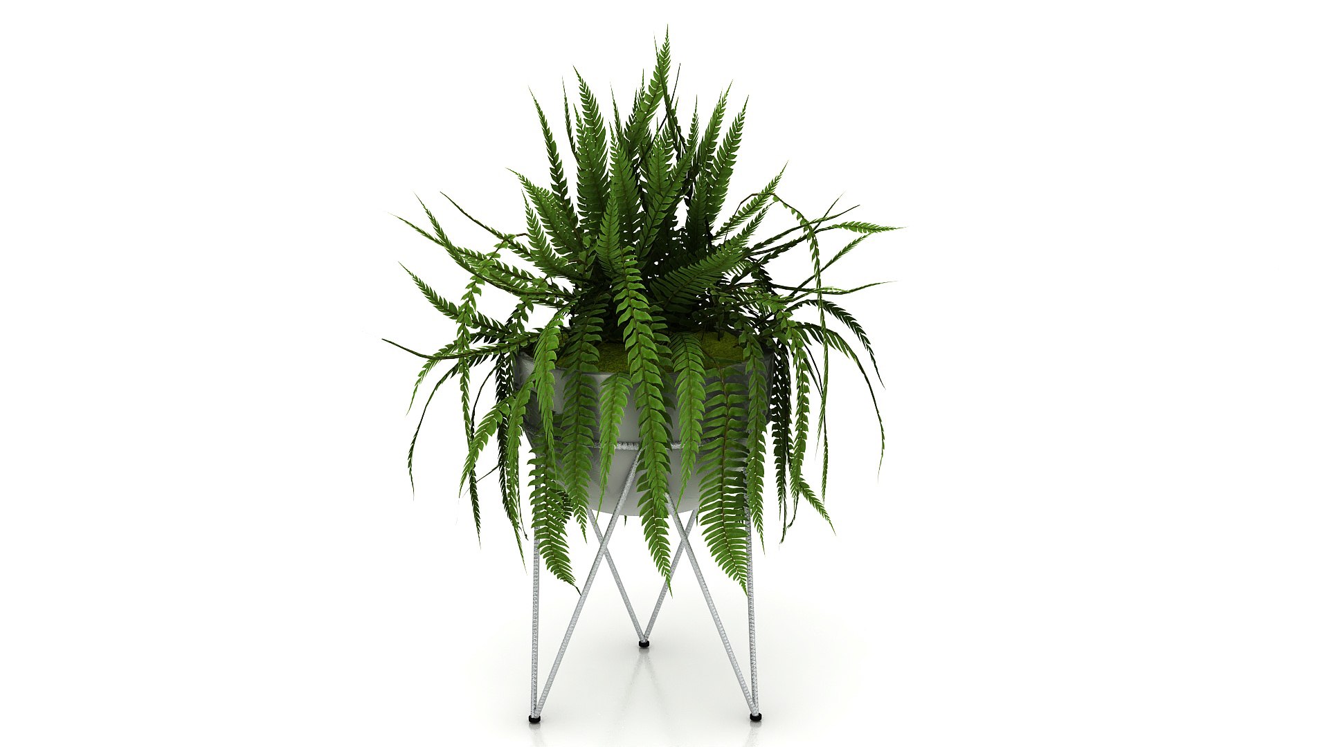 3D Collection plants model - TurboSquid 2080964
