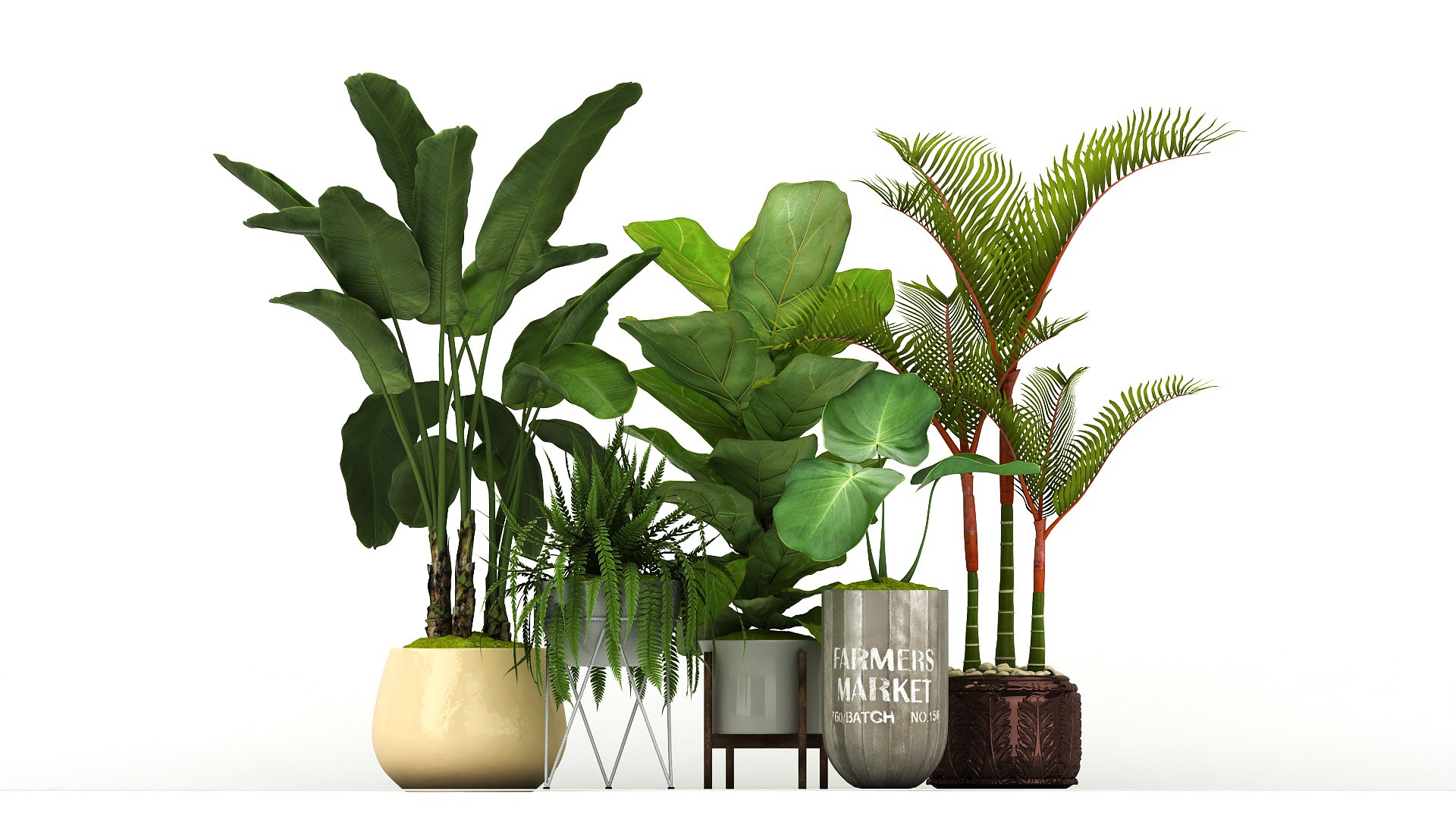 3D Collection plants model - TurboSquid 2080964