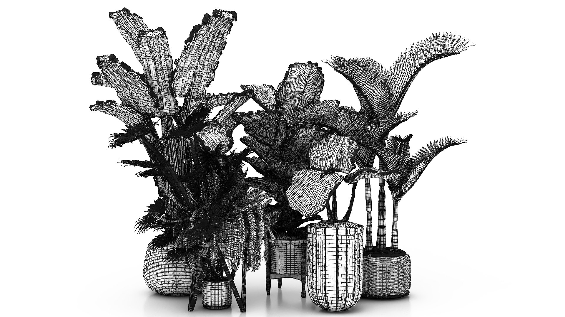 3D Collection plants model - TurboSquid 2080964