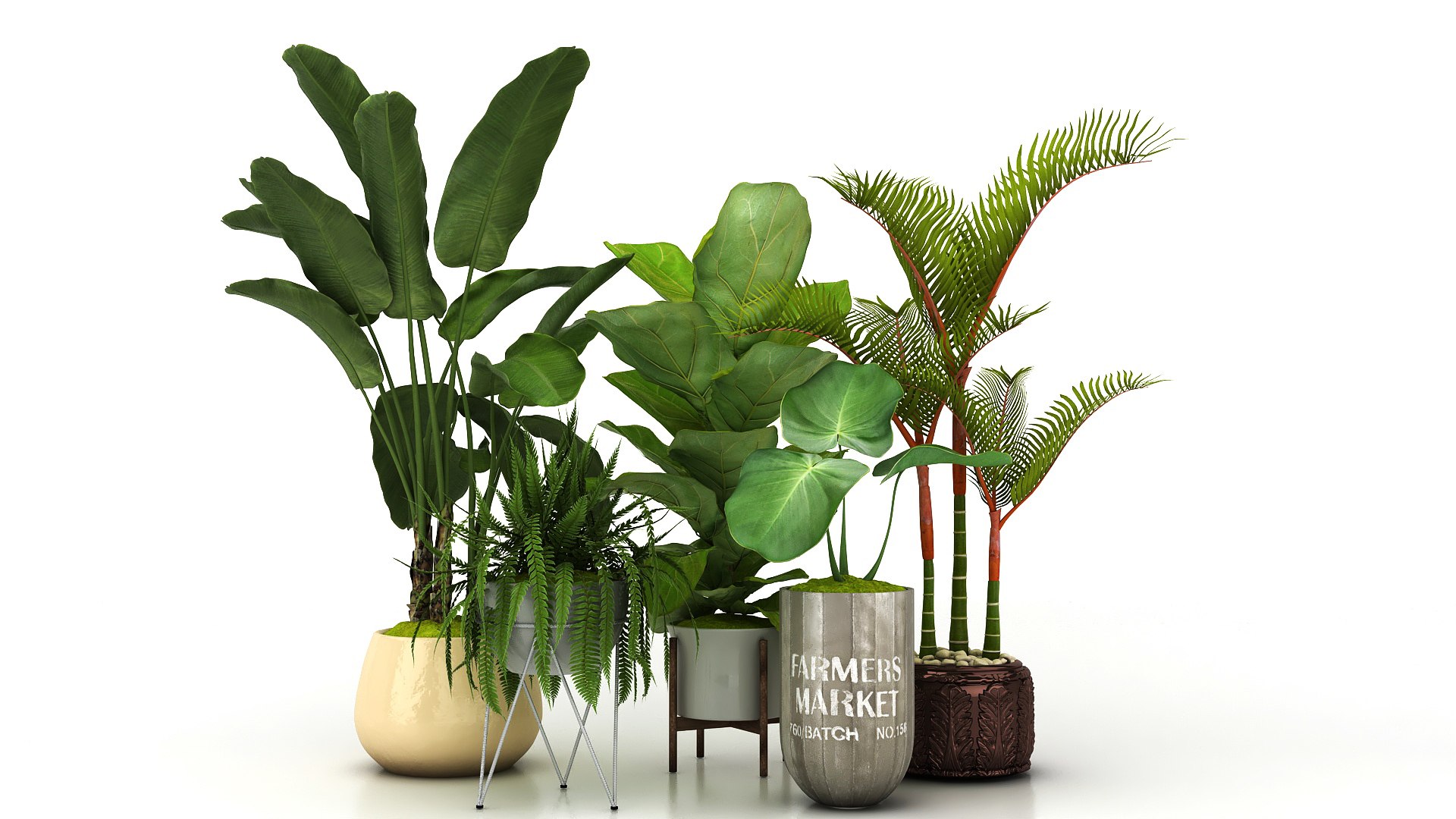 3D Collection plants model - TurboSquid 2080964