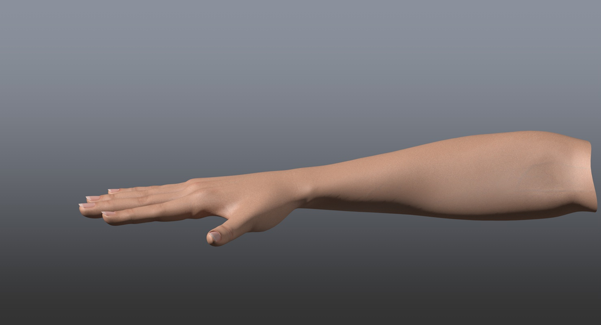 3d Model Rigged Hand Female