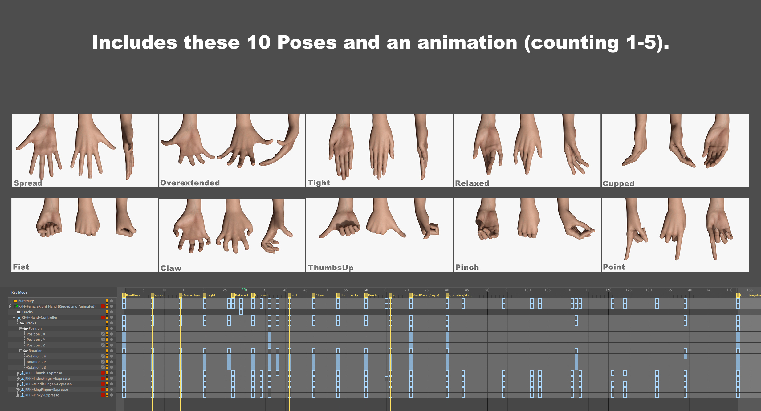 3d model rigged hand female