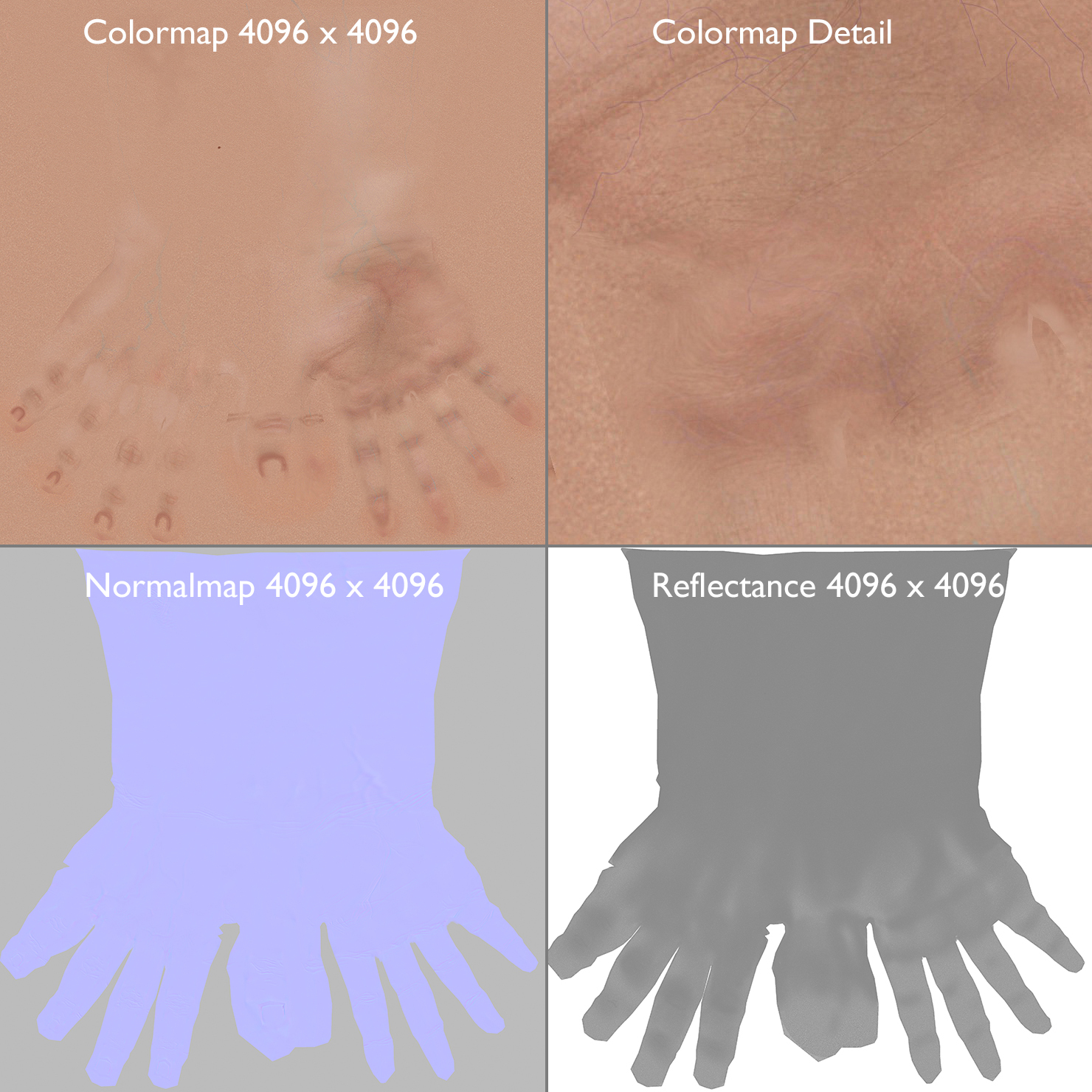 3d model rigged hand female