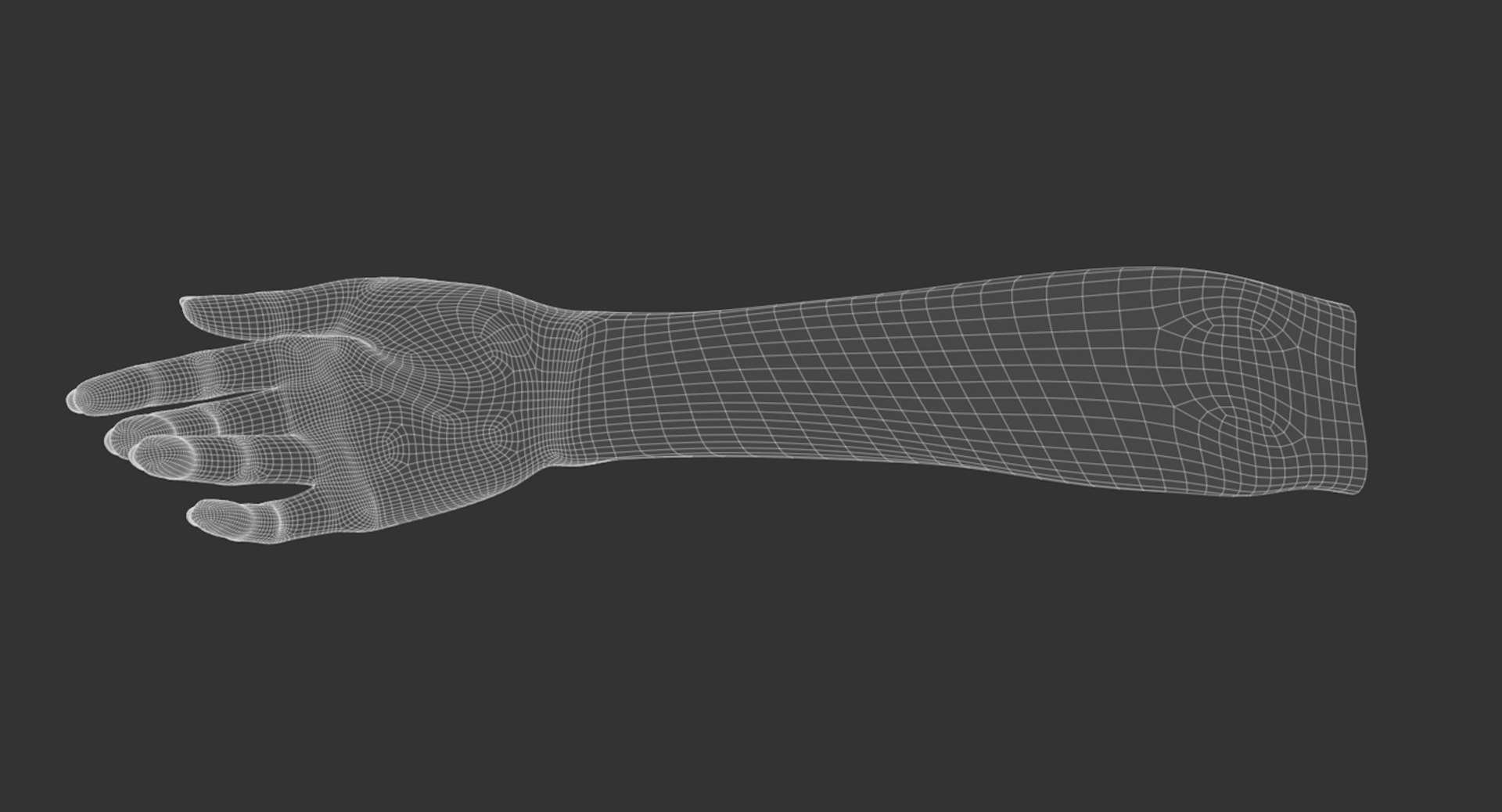 3d Model Rigged Hand Female