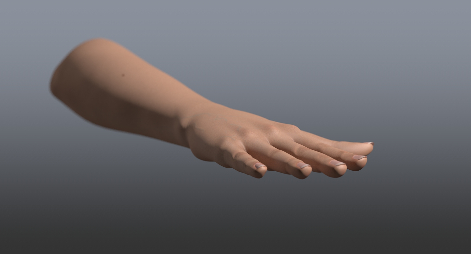 3d Model Rigged Hand Female