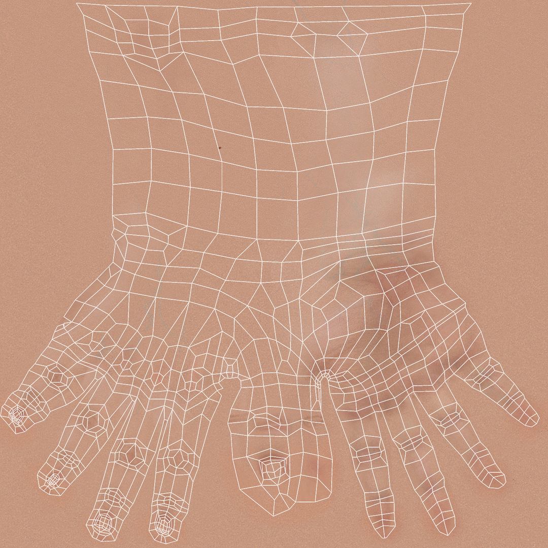 3d model rigged hand female