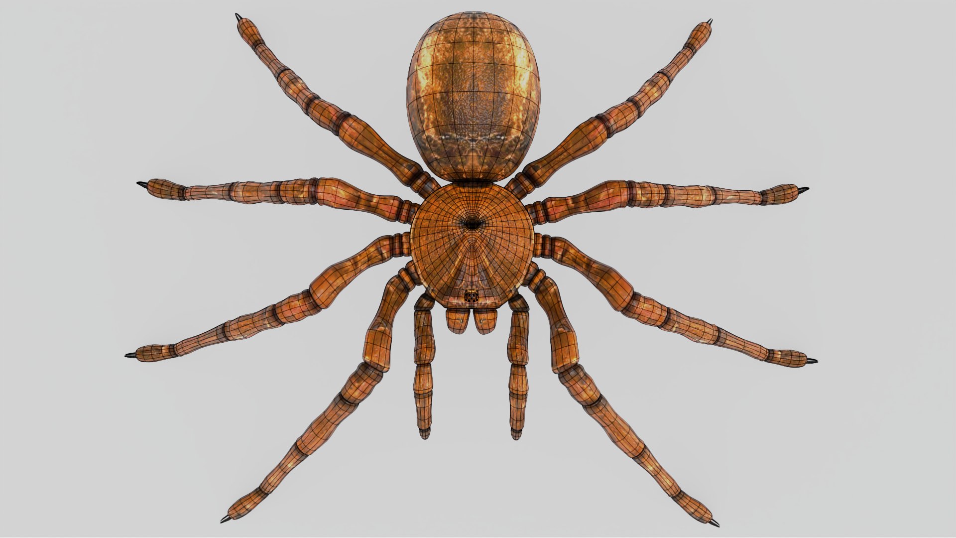3D Spider Goliath - Rigged - TurboSquid 1872017