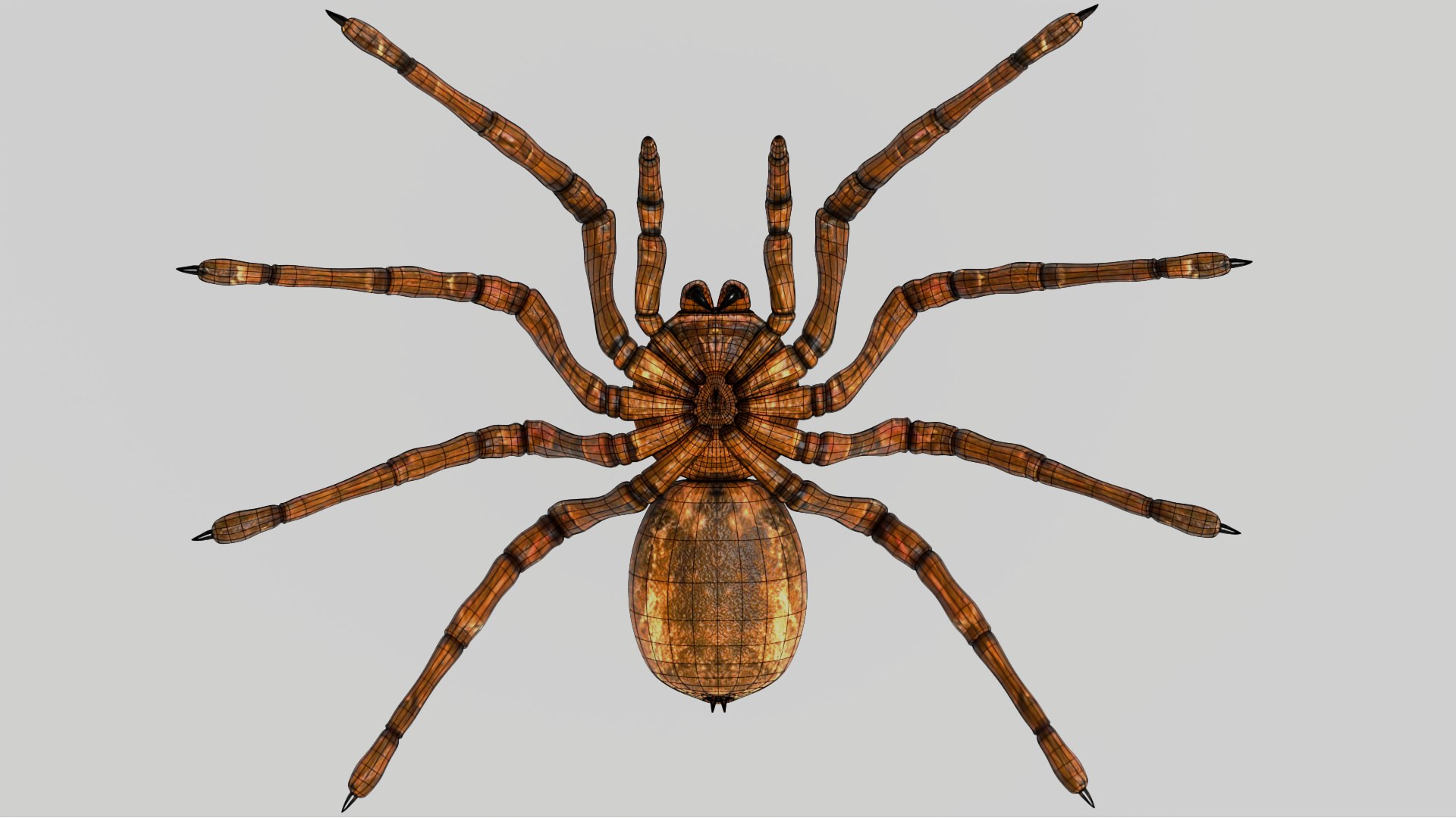 3D Spider Goliath - Rigged - TurboSquid 1872017
