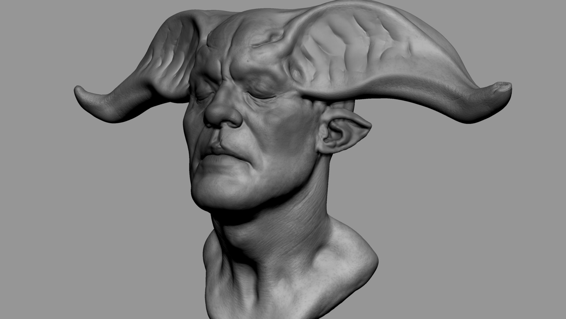 Fantasy Creature Head Anatomy Model - TurboSquid 1445410
