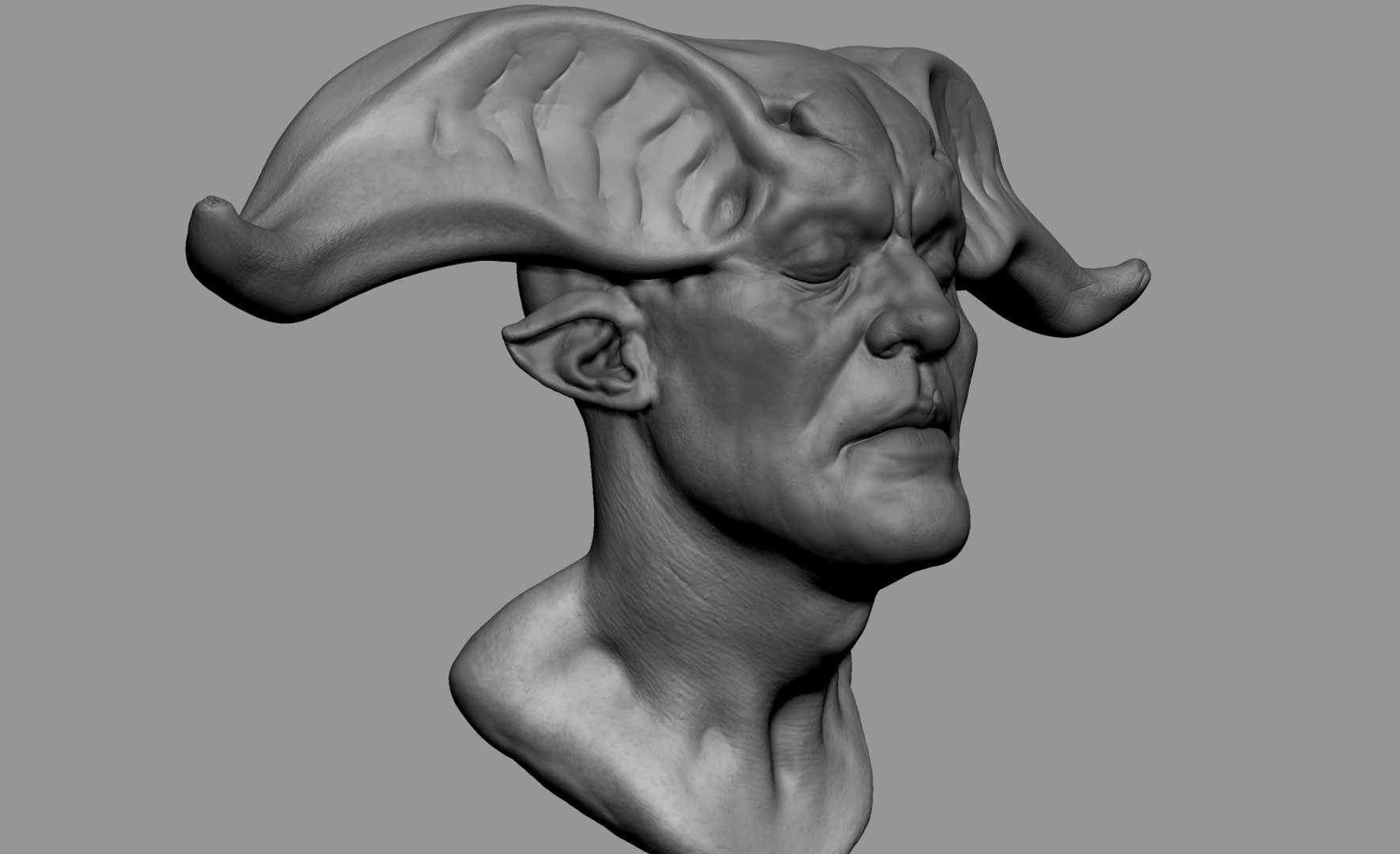 Fantasy Creature Head Anatomy Model - TurboSquid 1445410
