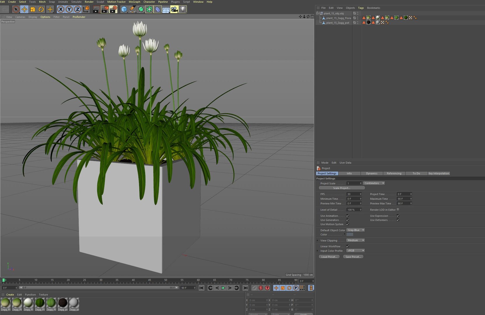 3d Plants Model