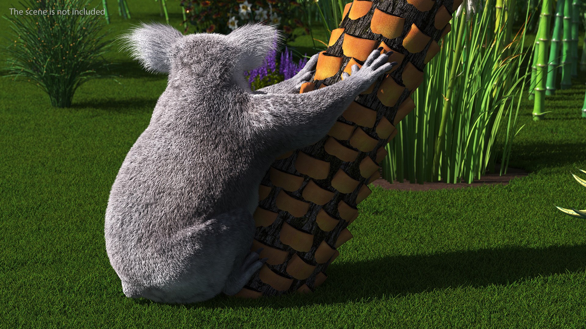 3D Koala Seated Pose Fur - TurboSquid 2167012