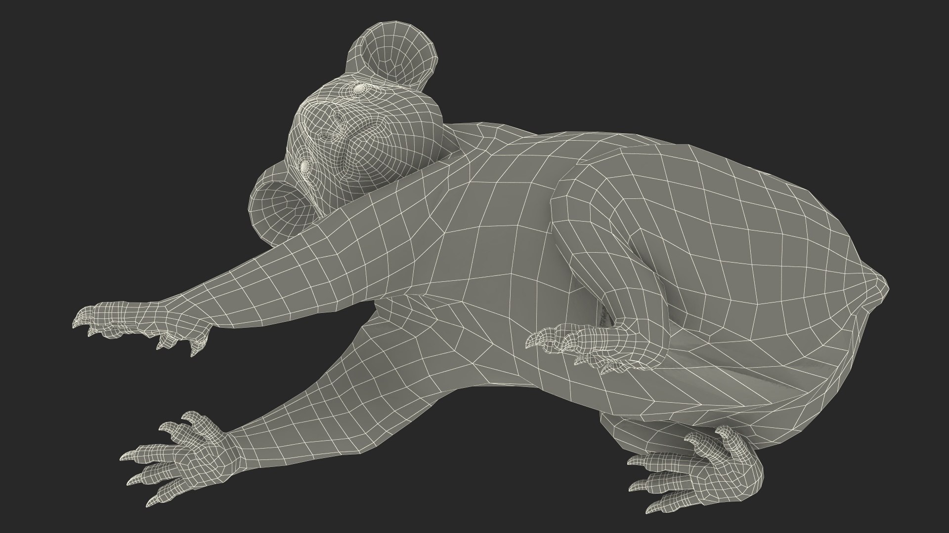 3D Koala Seated Pose Fur - TurboSquid 2167012