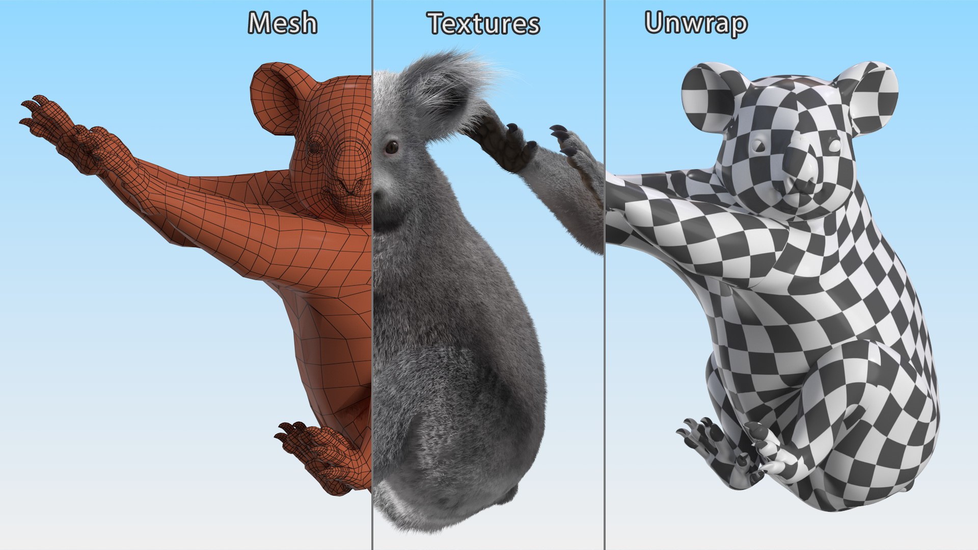 3D Koala Seated Pose Fur - TurboSquid 2167012