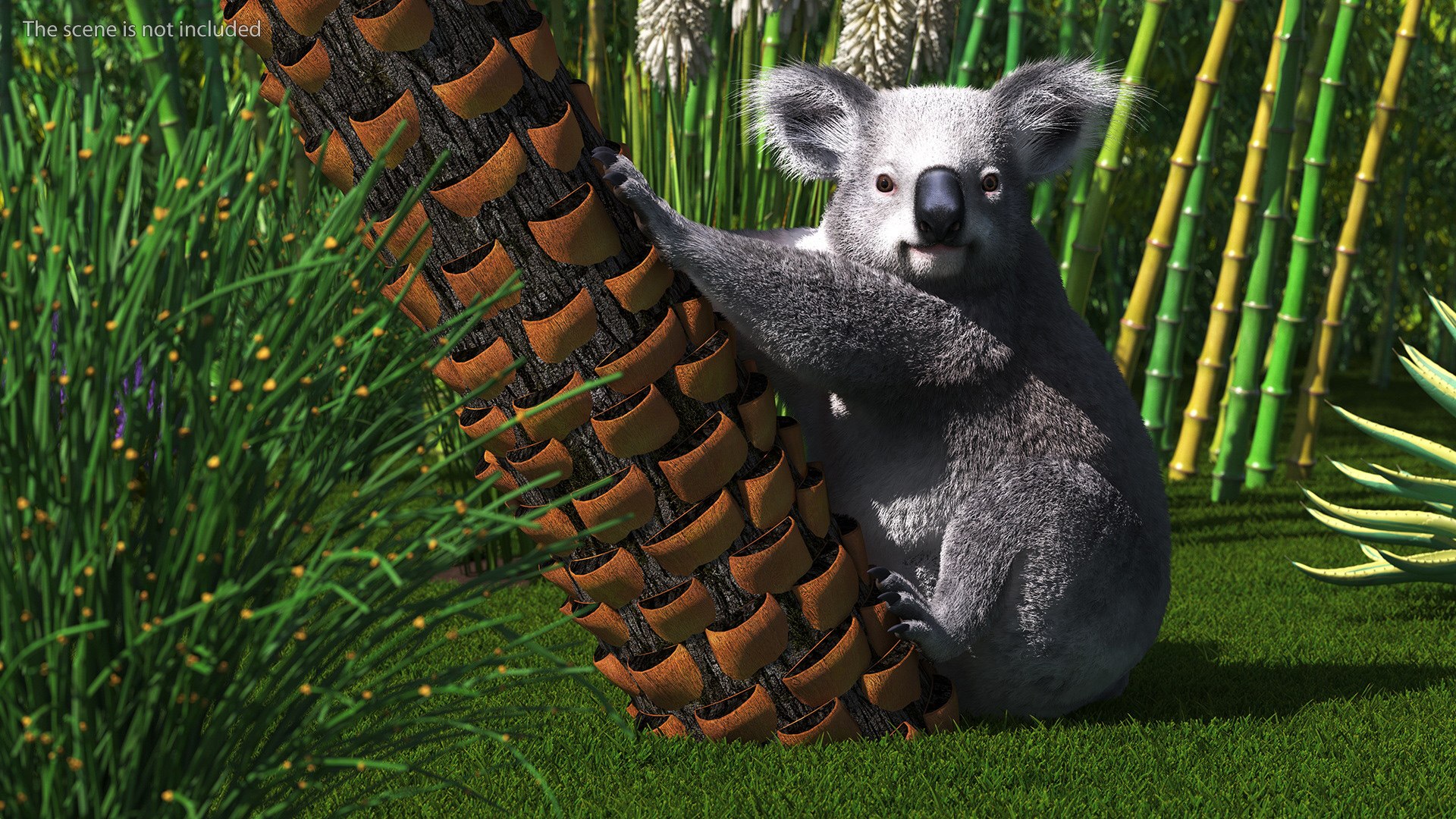 3D Koala Seated Pose Fur - TurboSquid 2167012