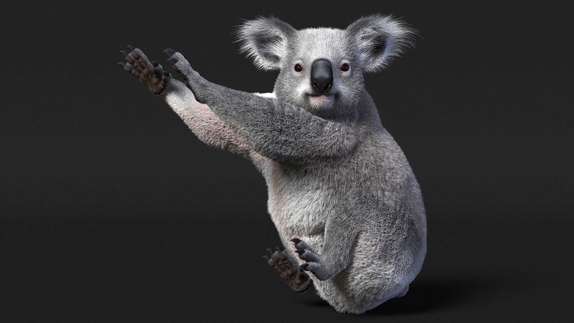 3D Koala Seated Pose Fur - TurboSquid 2167012