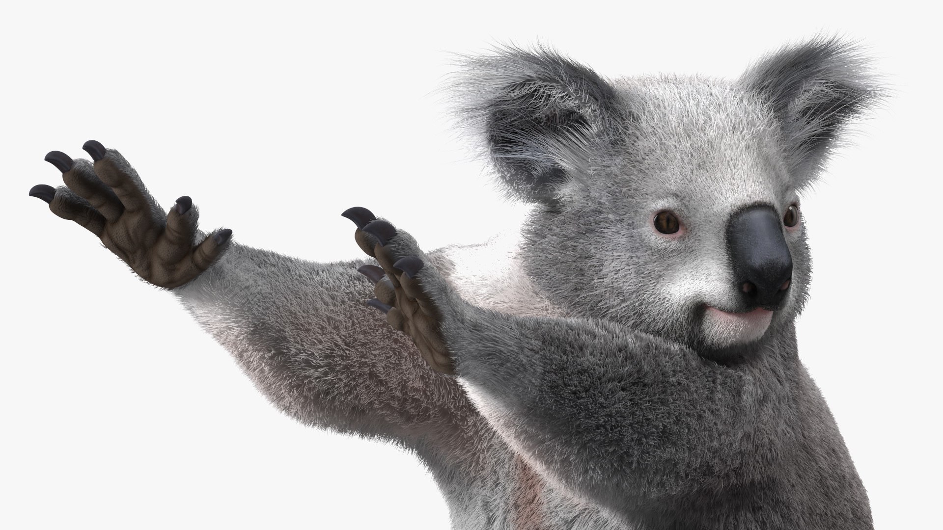 3D Koala Seated Pose Fur - TurboSquid 2167012