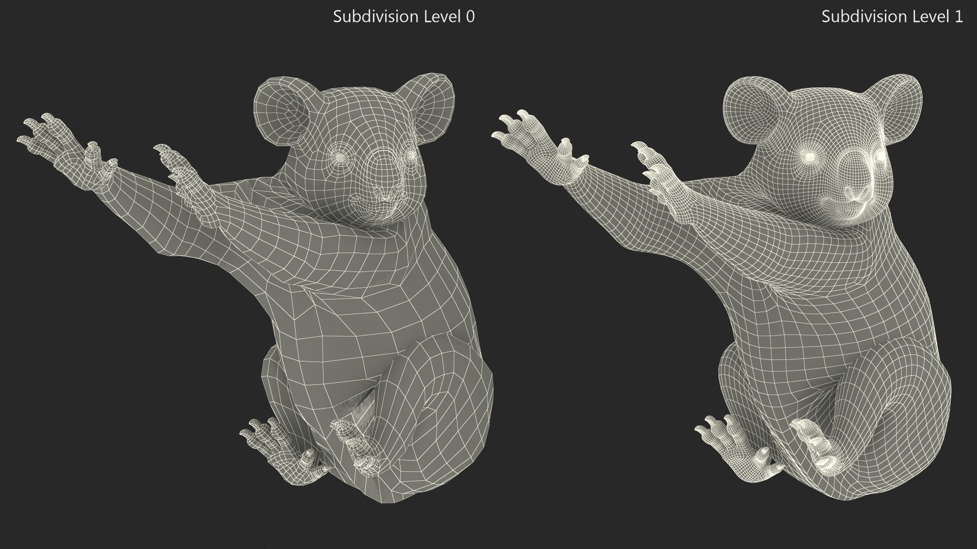 3D Koala Seated Pose Fur - TurboSquid 2167012