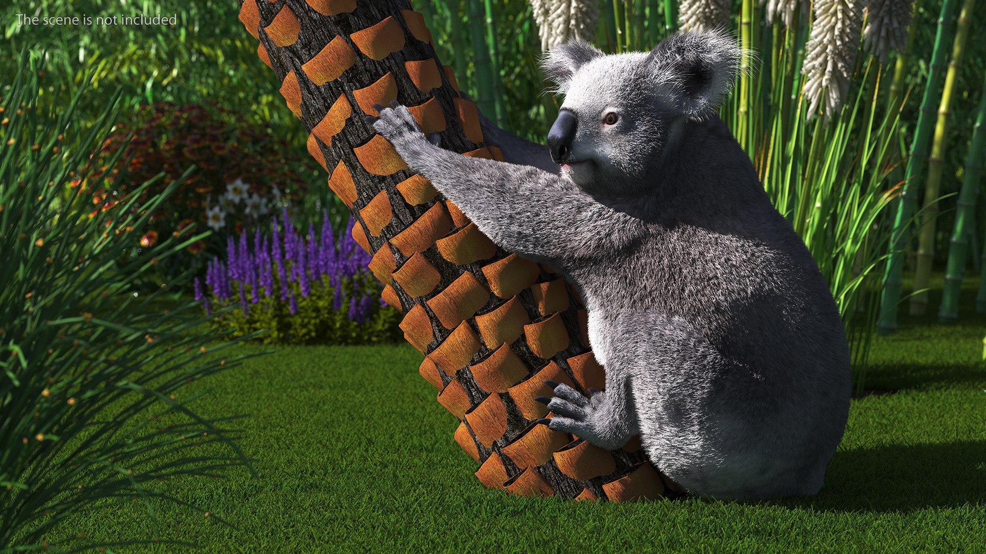 3D Koala Seated Pose Fur - TurboSquid 2167012