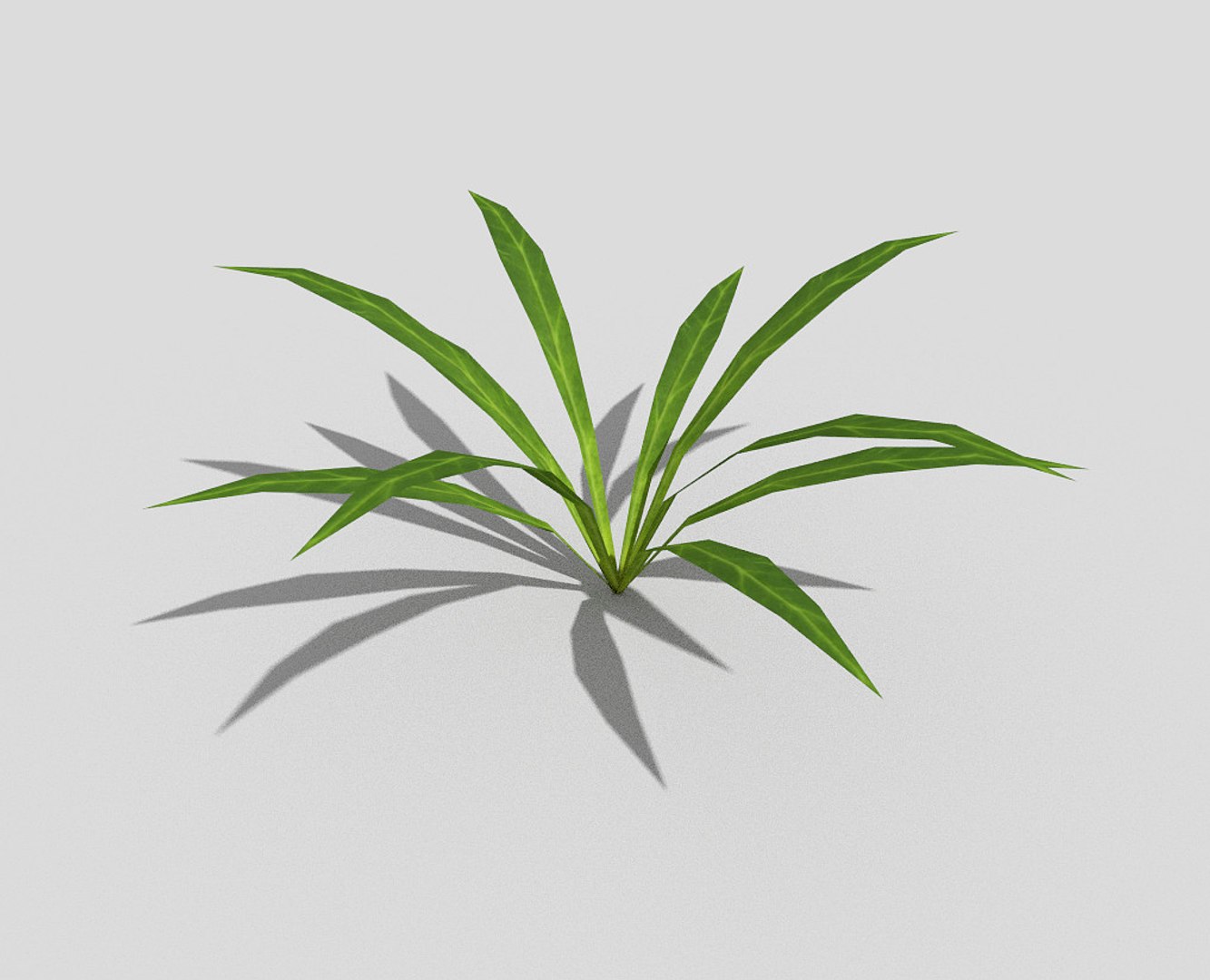 3d model plant