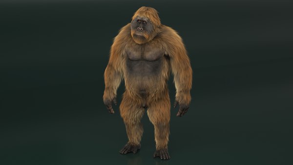 modelo 3d Gigantopithecus en pose de pie - TurboSquid 2311883
