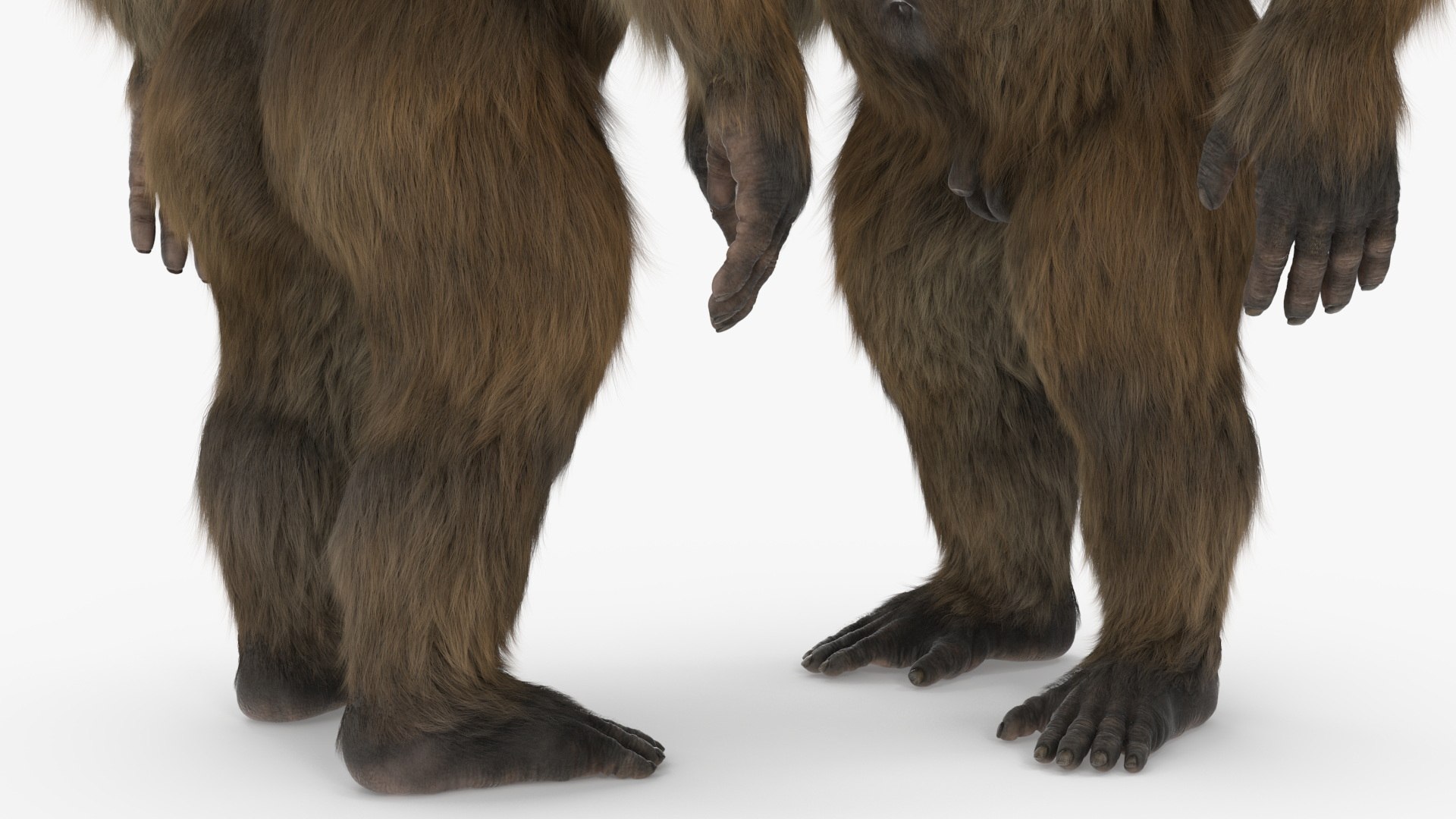 Gigantopithecus In Standing Pose Fur 3D Model - TurboSquid 2311883