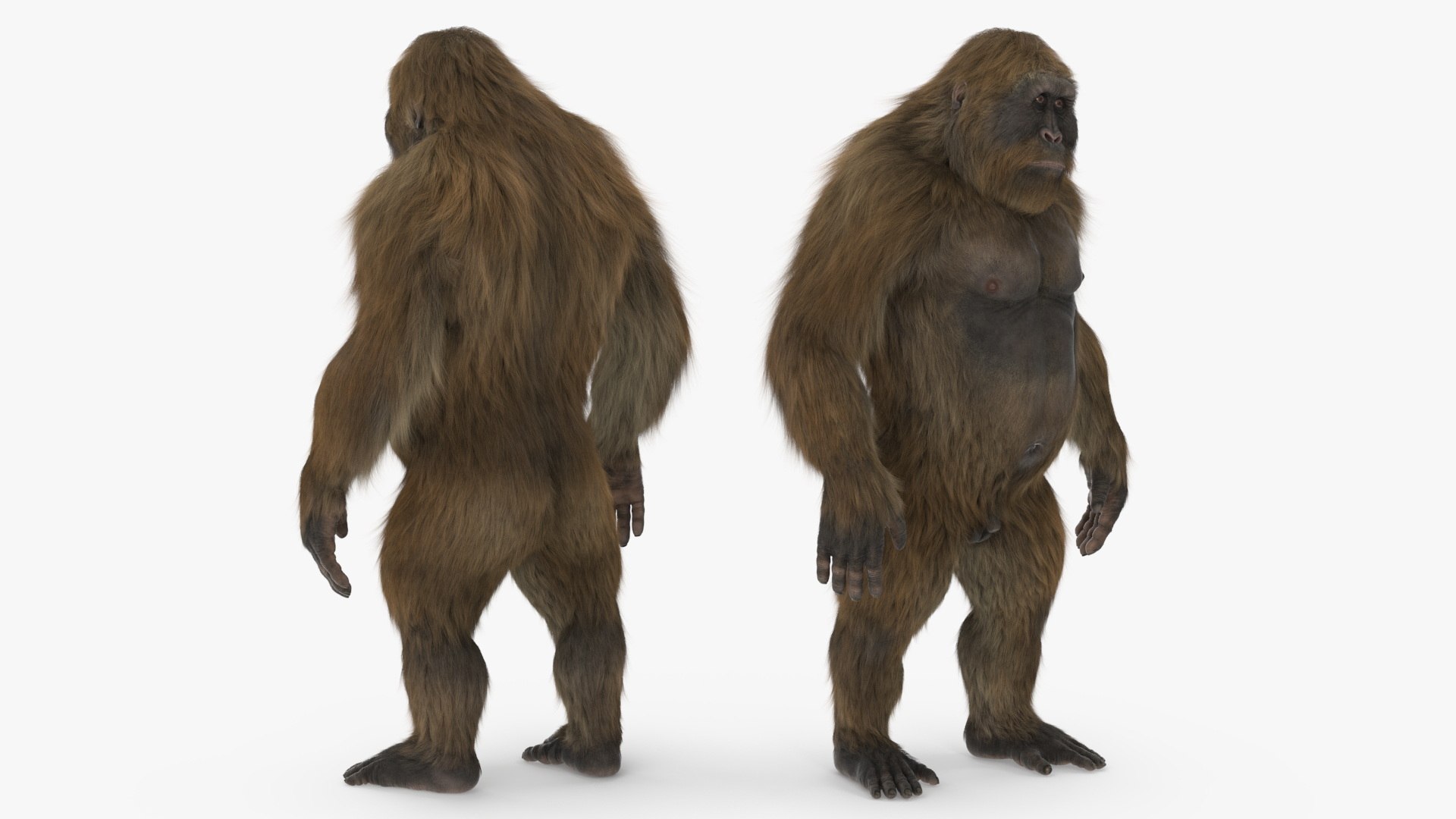 Gigantopithecus In Standing Pose Fur 3D Model - TurboSquid 2311883