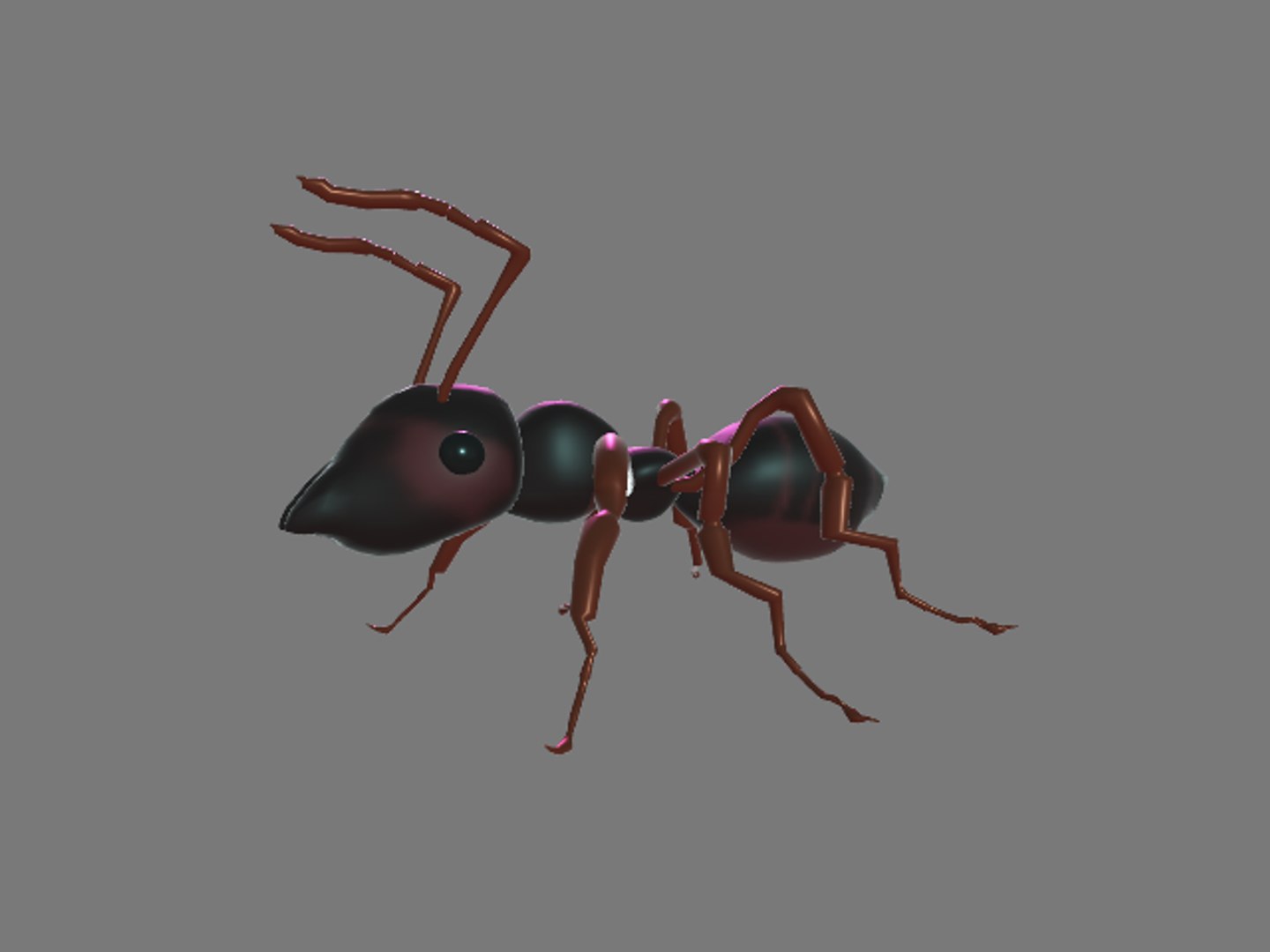 Ant 3D Model Model - TurboSquid 1923427