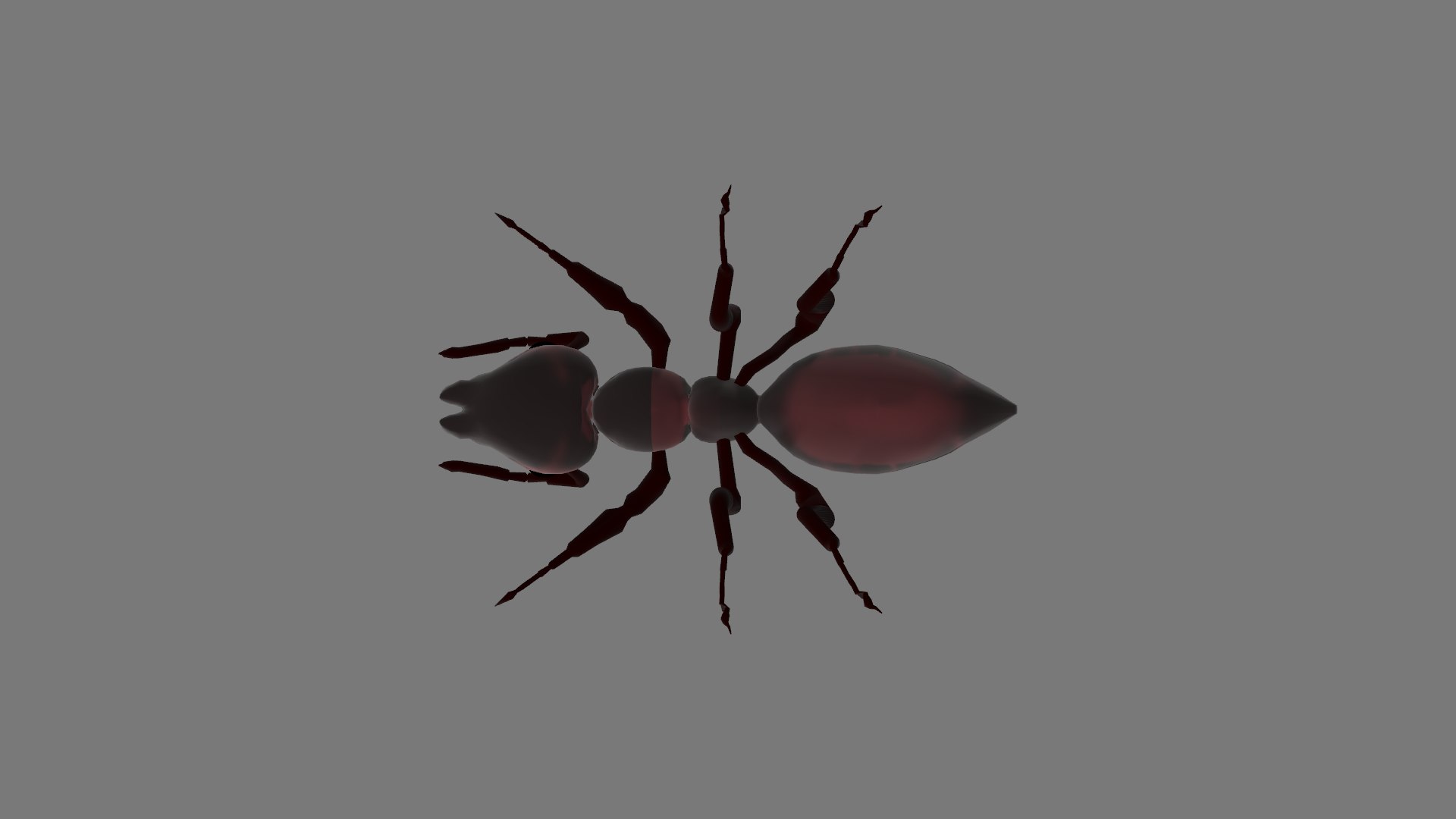 Ant 3D Model Model - TurboSquid 1923427
