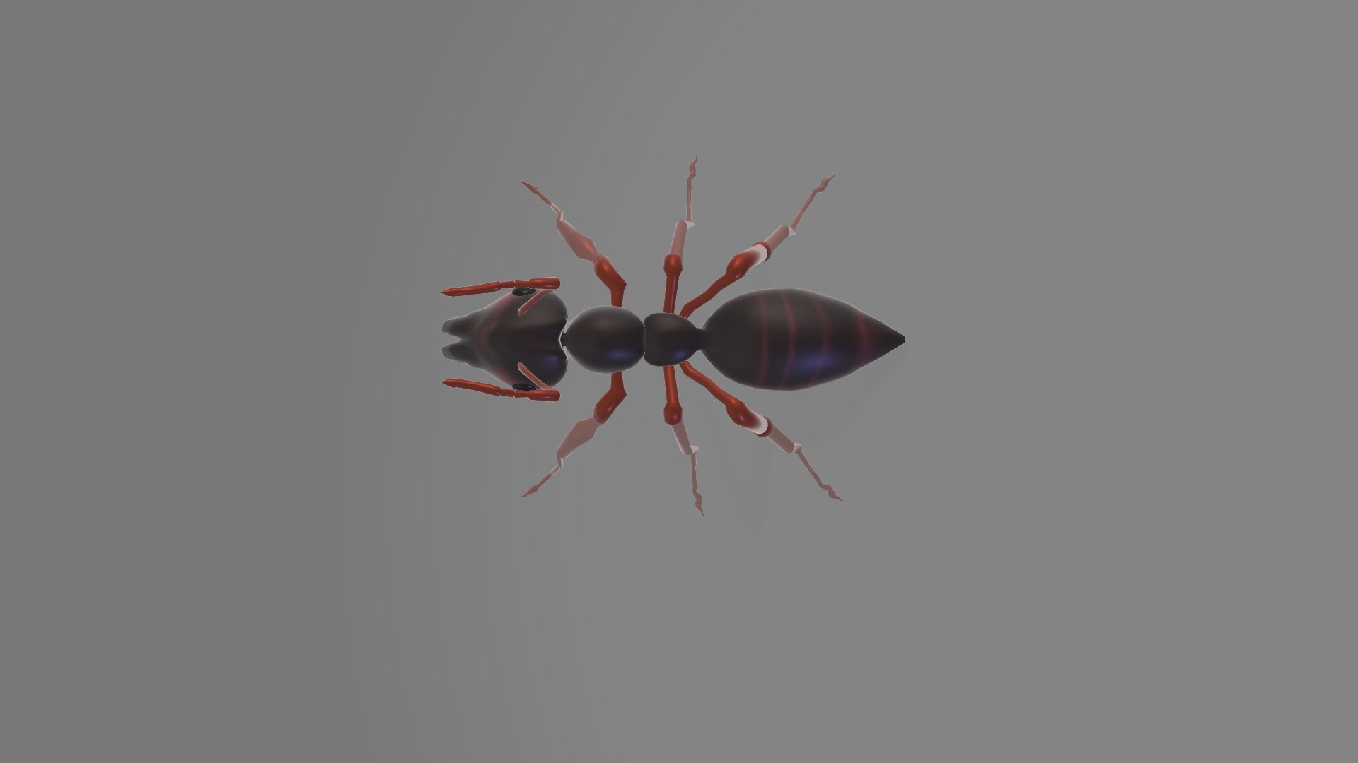 Ant 3D Model Model - TurboSquid 1923427