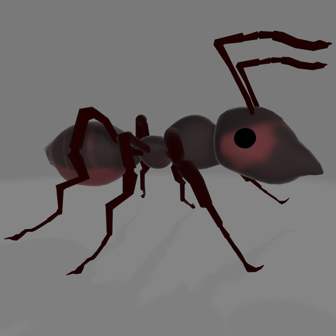 Ant 3D Model Model - TurboSquid 1923427
