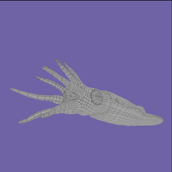 Blender Squid Models | TurboSquid