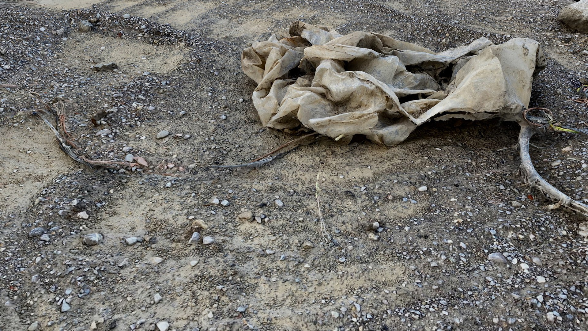 3D Gravel Ground Trash 01 - 3D photogrammetry model scan of gravel and ...